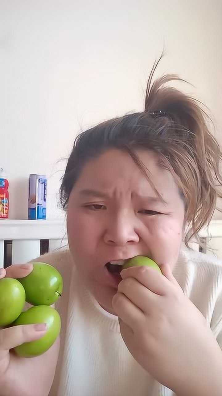 Chinese Beaver – Sinomemes